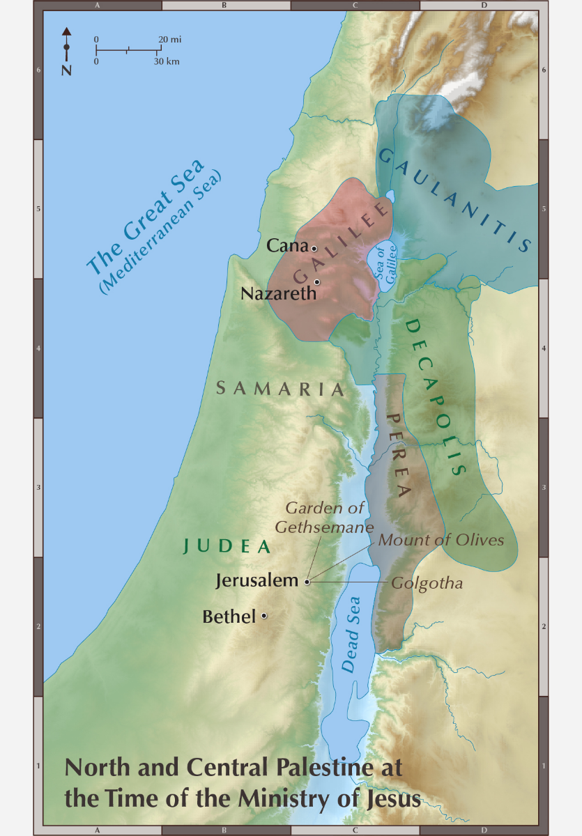 RSV Catholic Travel Bible | Bonded Leather Bible – Scepter Publishers