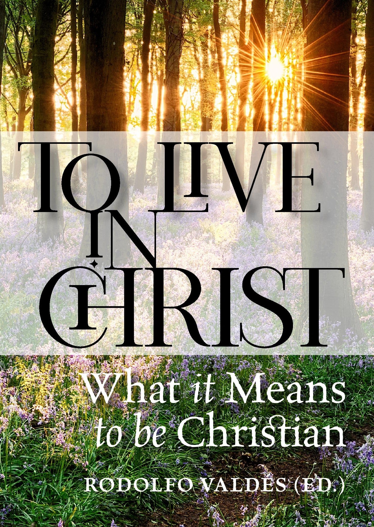To Live In Christ: What It Means to Be Christian | Rodolfo Valdes ...