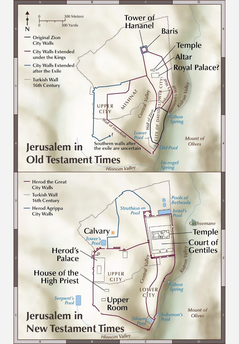 RSV Catholic Travel Bible | Bonded Leather Bible – Scepter Publishers