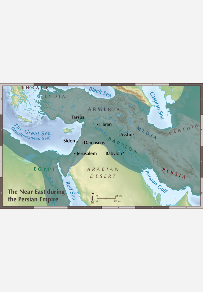 RSV Catholic Travel Bible | Bonded Leather Bible – Scepter Publishers