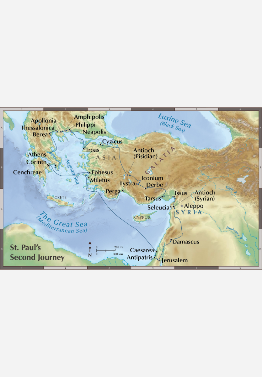 RSV Catholic Travel Bible | Bonded Leather Bible – Scepter Publishers